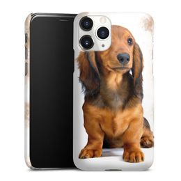 DeinDesign iPhone 11 Pro Handy Premium Case Smartphone Handyh&uuml;lle Schutzh&uuml;lle gl&auml;nzend Dog Dachshund Pet Premium Case