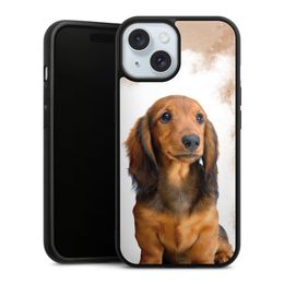 DeinDesign iPhone 15 Handy Gallery Case Handyh&uuml;lle 9H Geh&auml;rtetes Glas R&uuml;ckseite H&uuml;lle Pet Dachshund Dog Gallery Case