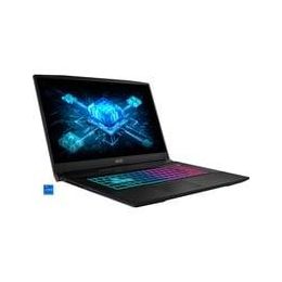 MSI Katana 17 B13VFK-1275, Gaming-Notebook schwarz, Intel Core i7-13620H, NVIDIA GeForce RTX 4060, 16 GB DDR5, 1 TB (1 TB SSD), ohne Betriebssystem