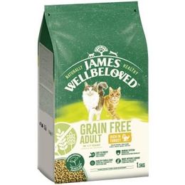 James Wellbeloved Trockenfutter Katze Adult, Getreidefrei Truthahn 4 kg