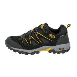 Brütting BRÜTTING Outdoorschuh »Outdoorschuh Mount Hunter Low« schwarz 43 43 Outdoorschuh mit Tex-Membrane von Brütting