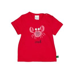 Fred's World by GREEN COTTON Fred's World By Green Cotton Shirt girl Red size 74