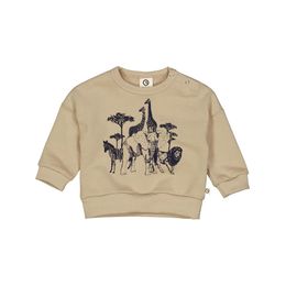 M&uuml;sli by GREEN COTTON M&uuml;sli by GREEN COTTON Sweatshirt Jungen Gr&ouml;&szlig;e 68 beige / schwarz