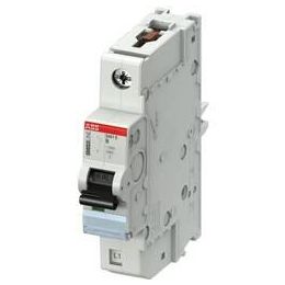 ABB 2CCS551001R0165 S401E-B16 Leitungsschutzschalter 1polig