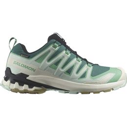 Salomon XA PRO 3D V9 GTX W - Trailrunning Schuhe - Damen