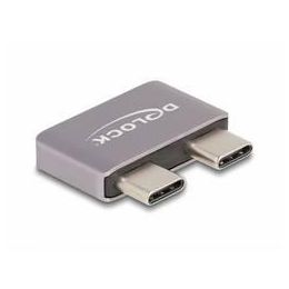 Delock USB 2.0 Adapter [2x USB-C&reg; Stecker - 2x USB-C&reg; Buchse] 60055