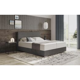 Boxbett MR. COUCH "Stratus 2", braun (aqua clean pascha 412 rock), B:187cm L:211cm, 64% Polyester / 36% Baumwolle, Komplettbetten, Boxspringbett, inkl. Bettkasten und Matratze