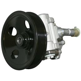 JP Group Hydraulikpumpe, Lenkung f&uuml;r MERCEDES-BENZ A0024665101 0024664801 A0024664801 1345100300
