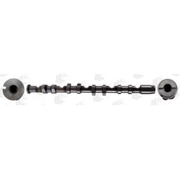 AE Nockenwelle Auslassseite für VW AMC VAG 647295 06D109102AK CAM989