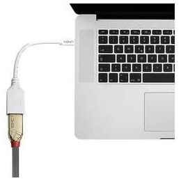 LINDY 41021 DisplayPort / Mini-DisplayPort Adapterkabel [1x DisplayPort Buchse - 1x Mini-DisplayPort Stecker] Wei&szlig; 15.00 cm