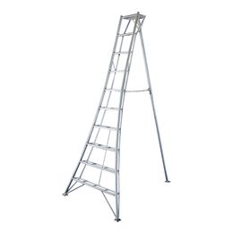 NIWAKI 3-Holm-Gartenleiter, 300 cm