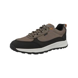 Geox Sneakers male Brown size 42