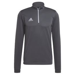 adidas Performance Athletic Sweatshirt 'Entrada 22' male Grey size XL