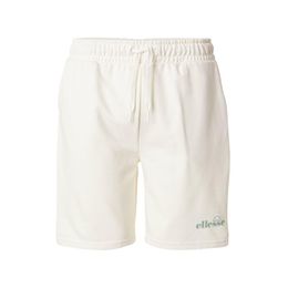 Ellesse Shorts 'MOLLA' Herren Größe 38 grau / offwhite