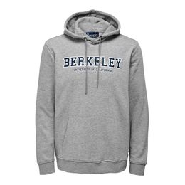 Only & Sons Only & Sons Sweatshirt male Grey size S