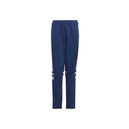 adidas Performance Workout Pants 'Squadra 25' boy Blue size 176