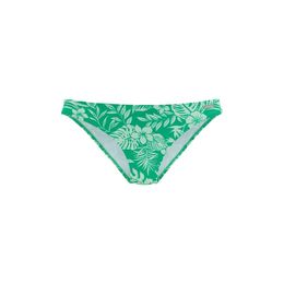 Venice Beach Bikini Bottoms female Green size 34