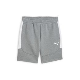 Puma Workout Pants 'TeamEvostripe' female Grey size S