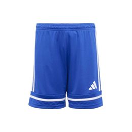 adidas Performance Workout Pants 'Squadra 25' boy Blue size 116