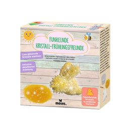 moses. Experimentierset - ab 8 Jahren - (Überraschungsprodukt) - 10% | Experimentieren-spielzeug