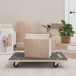 Transportroller 2 Stk. Rechteckig 80x55x11,5 cm 250 kg