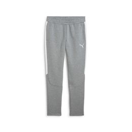 PUMA Workout Pants 'teamEvostripe' male size XL Grey / White