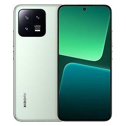 Xiaomi 13 5G Dual SIM 256GB flora green