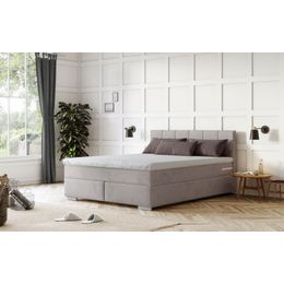 Boxspringbett COTTA "Simba", grau (hellgrau), L:209cm, Komplettbetten, Boxspringbett, Topseller wahlweise mit oder ohne Matratze und Topper bestellbar, Topseller