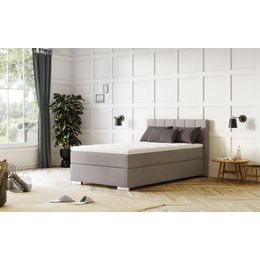 Boxspringbett COTTA "Simba", grau (elephant), L:209cm, Komplettbetten, Boxspringbett, Topseller wahlweise mit oder ohne Matratze und Topper bestellbar, Topseller