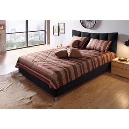 Polsterbett, schwarz, B:150cm L:210cm, Bezug Bett: Microfaser (100% Polyester);Bonnell-Federkernmatratze: Mischgewebe (51% Polyprophlen, 39% Polyester, 10% Baumwolle);Kaltschaummatratze: Frottee (100% Polyester), Bezug abnehm- und waschbar bis 60C, Westfalia Schlafkomfort, Betten, Polsterbett