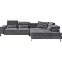 Gallery M BRANDED BY MUSTERRING Ecksofa »Felicia Due L-Form« Wahlweise mit Sitzvorzug, inkl. Kopfteilverstellung, Sitzhöhe 43 cm grau