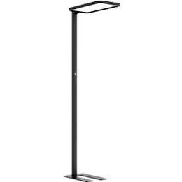 LED-Stehleuchte Butler, 80 W, 8800 lm, 4000 K, bildschirmarbeitsplatzfähig, direkt/indirekt leuchtend, stufenlos dimmbar, Bewegungssensor, schwarz