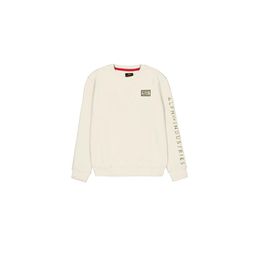 Alpha Industries Sweatshirt male Beige size L
