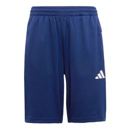 adidas Sportswear Workout Pants 'Essentials' boy Blue size 152