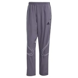 adidas originals Pants 'Teamgeist Adicolor' male Grey size XL