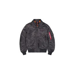 Alpha Industries Between-Season Jacket 'Flying Tigers' male Grey size 4XL