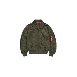 Alpha Industries Between-Season Jacket 'Flying Tigers' male Green size XXXL