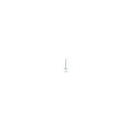 Hettich Sockelverstellschraub, 9318255,M8x50mm,vz.)