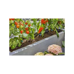 Gardena Tropfbewässerung-Set Terrasse (30 Pflanzen) Inhalt: 1 Stück (13400-20)