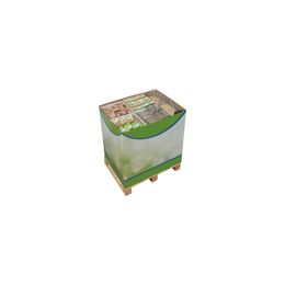 Floraworld Mause- u. Rattenfallenver schiedene AusführungenDis play (014704)