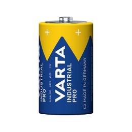 Varta Batterie INDUSTRIAL PRO D 20er Box SK1 (04020211111)