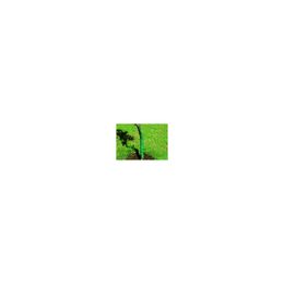 Floraworld Baumschutzspirale 2er, 60 cm (11386)