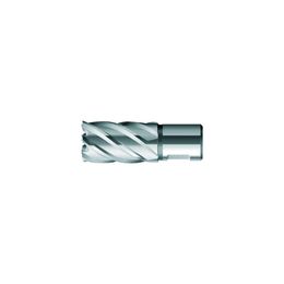 BDS Kernbohrer kurz KBK HSS Schaft Weldon 17/30mm (KBK017)