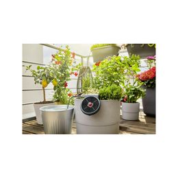 Gardena Solar-Bewässerung aquaBloom Set 13300-20)