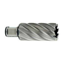 Metabo HSS-Kernbohrer 30x55 mm, Weldonschaft 19 mm (3/4") (626539000)