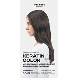 SHYNE Professional Haarfarbe 66/81 Singapore Hellbraun Asch-Intensiv