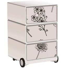 PAPERFLOW easyBox Garden Factory Rollcontainer weiß, bunt 4 Auszüge 39,0 x 43,6 x 64,2 cm
