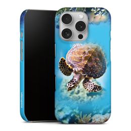 DeinDesign iPhone 16 Pro Handy Premium Case Smartphone Handyh&uuml;lle Schutzh&uuml;lle matt Ocean Turtle Animals Premium Case