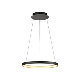 Paul Neuhaus Pendelleuchte HOOP LED