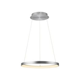 Paul Neuhaus Pendelleuchte HOOP LED